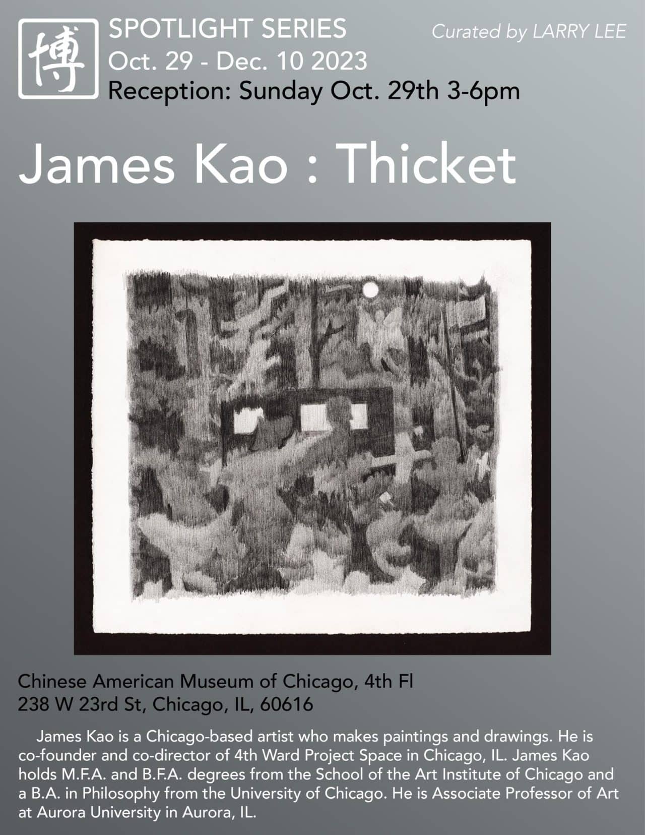 Spotlight Series: “James Kao: Thicket” - Chicago Cultural Alliance