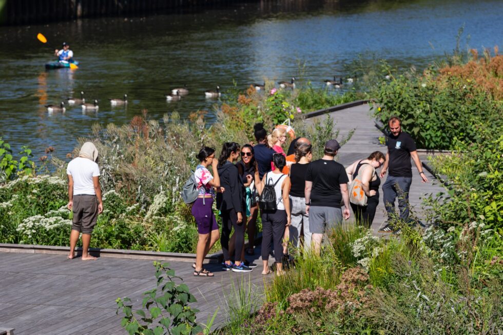 Rewilding Chicago’s Waterways - Chicago Cultural Alliance